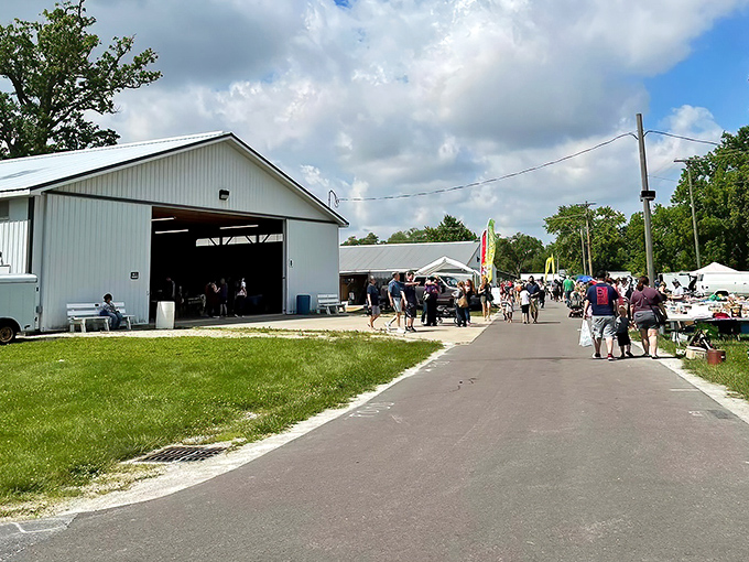 Fairground transformation! Tiffin's market spreads across green fields where farm equipment sits alongside fine collectibles.