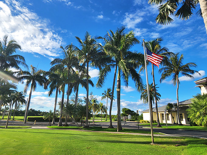 Palm trees stand tall against Lake Worth Beach's blue skies, creating that "wish you were here" postcard moment.