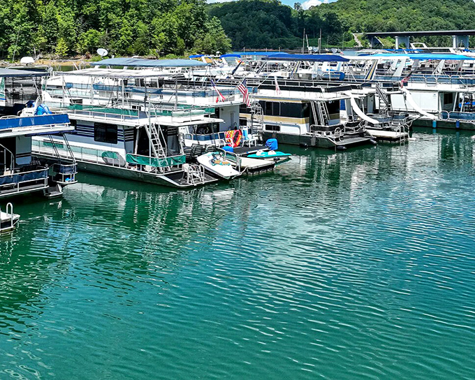 Houseboats line the marina at Norris Lake near Maynardville, where floating neighborhoods create unique communities on Tennessee's pristine waters.