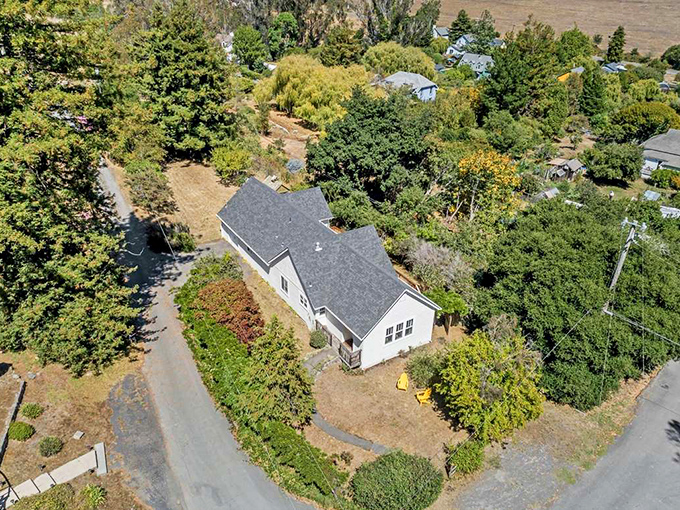 Charming cottages nestled among mature trees offer a glimpse of the simple life—where garden-fresh produce isn't a luxury, it's just Tuesday.