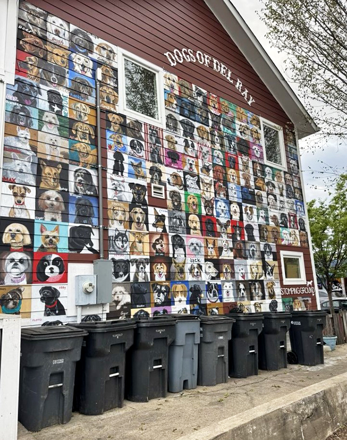 Just across from Holy Cow, Del Ray's famous dog mural showcases the neighborhood's quirky charm—the perfect post-burger stroll destination.