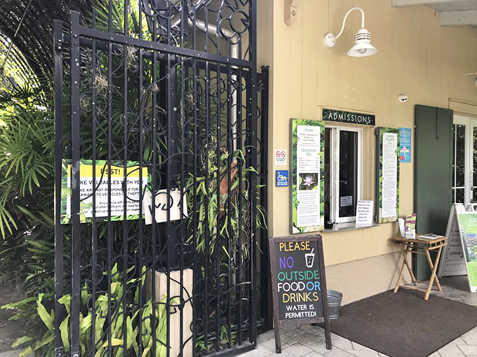 Your portal to paradise awaits. The admission window marks the threshold between ordinary life and botanical wonderland.