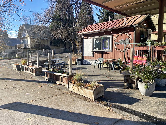 Local coffee shops fuel mountain adventures with brews strong enough to wake hibernating bears responsibly.