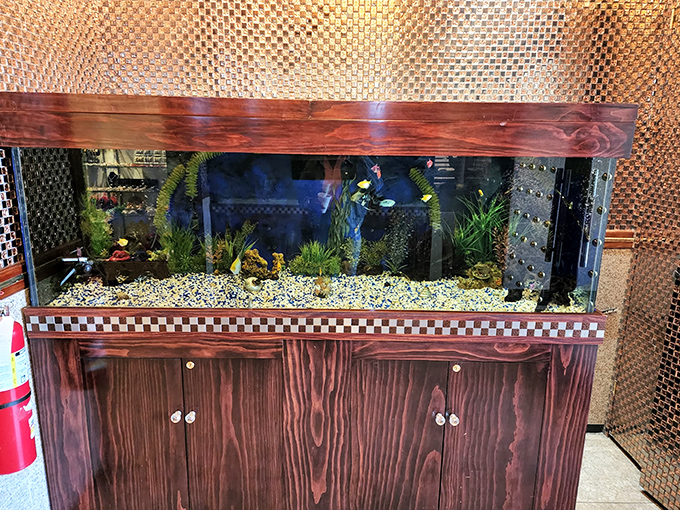 The hypnotic aquarium provides peaceful entertainment between trips to the buffet &ndash; nature's version of dinner theater.