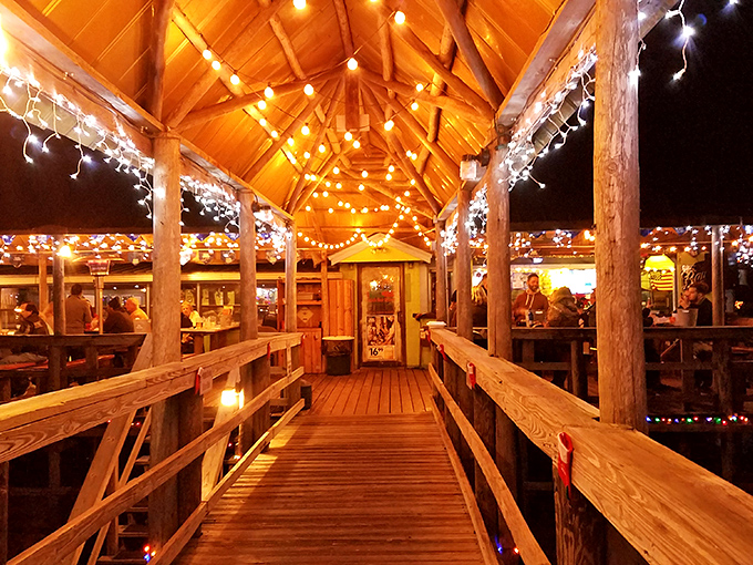 When the sun goes down, Gator Joe's transforms into a twinkling wonderland – string lights creating the kind of magic money can't buy.