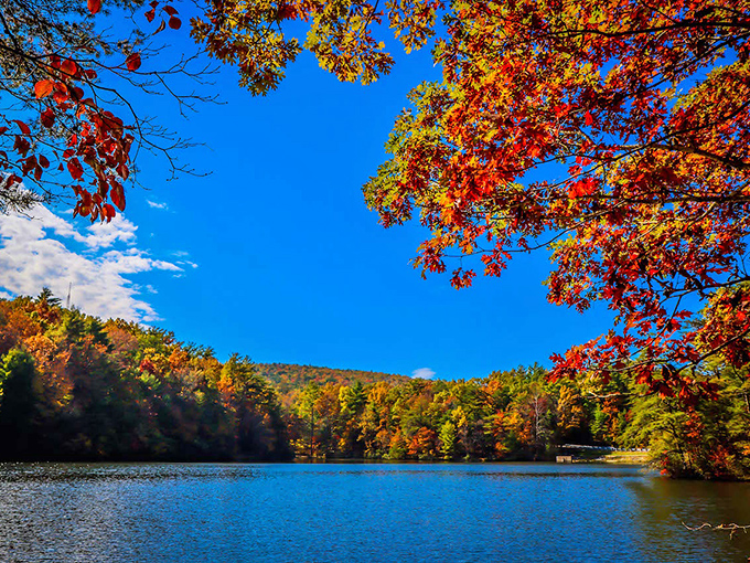 Fall foliage frames the crystal blue waters, creating a natural masterpiece that no filter could improve upon.