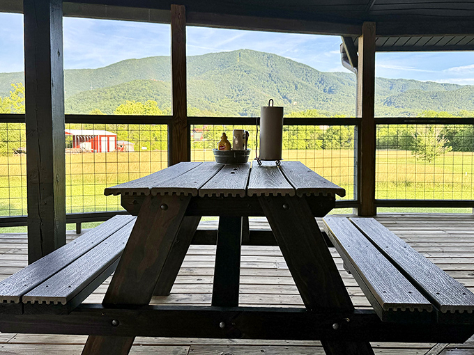 A picnic table with a million-dollar view. In real estate terms, this is what they call "location, location, location"—in food terms, it's "perfection."