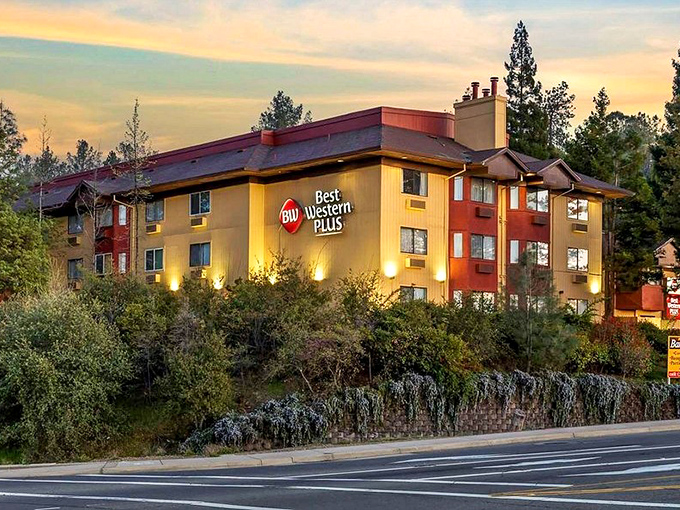 As dusk settles over Placerville, the Best Western Plus offers modern comfort nestled among the pines that once sheltered gold miners' camps.