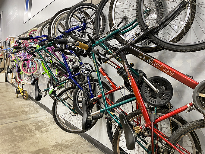 Bicycle bonanza! From first-time riders to seasoned cyclists, these pre-loved wheels are ready for their next adventure through Florida's flat terrain.