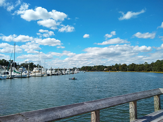 Beyond the gardens, Wilmington's waterways offer another kind of blue therapy—where boats bob like bath toys in nature's oversized tub.