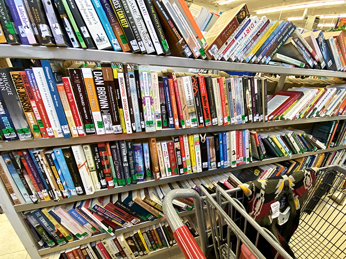 Literary landscapes line these shelves, where dog-eared paperbacks and hardcover classics await their chance to transport new readers to familiar worlds.