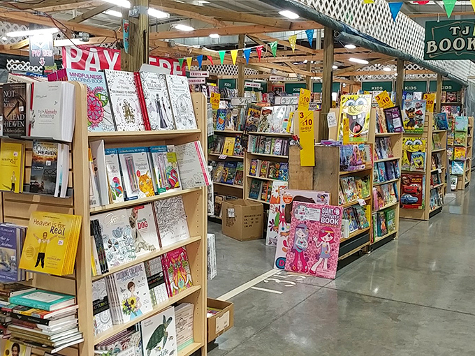 Literary paradise where bookworms can get happily lost. From children's classics to beach reads, these shelves hold adventures waiting to begin.