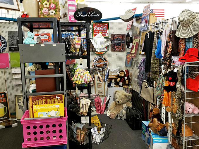 Nostalgia for sale! Vintage signs and childhood toys create a corner where "Remember these?" moments happen every few seconds.