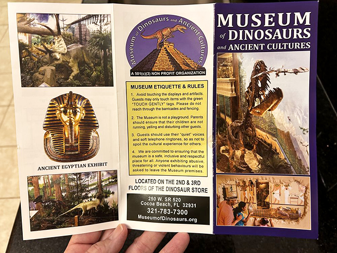 The museum brochure lays out all the prehistoric possibilities awaiting visitors. Pro tip: read it before entering or you might miss the mummy room!