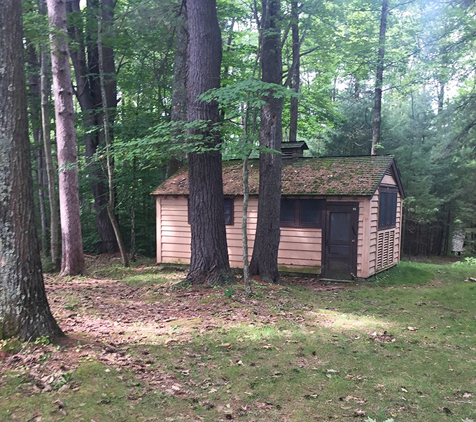 This rustic cabin nestled among towering pines offers shelter with a side of serenity. Simplicity at its most beautiful.
