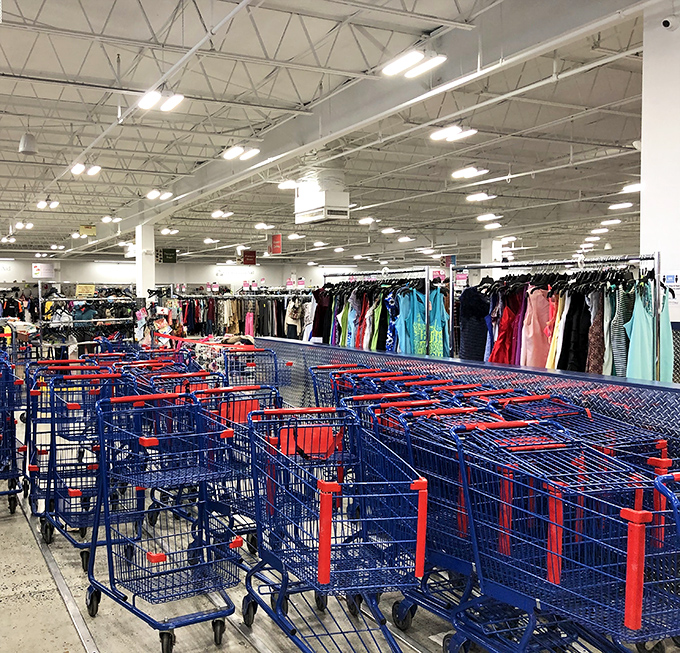 Shopping carts loaded with possibilities, each one a mobile treasure chest of discoveries.