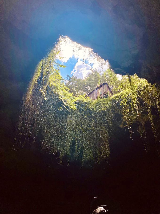 Sunlight streams through the natural skylight, creating the misty effect that gave Devil's Den its name. Early settlers saw "smoke" from the devil's chimney.