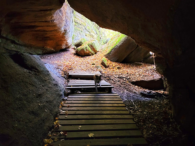 Sunlight filters through this cave entrance, illuminating a wooden pathway that beckons explorers like nature's version of "follow the yellow brick road."