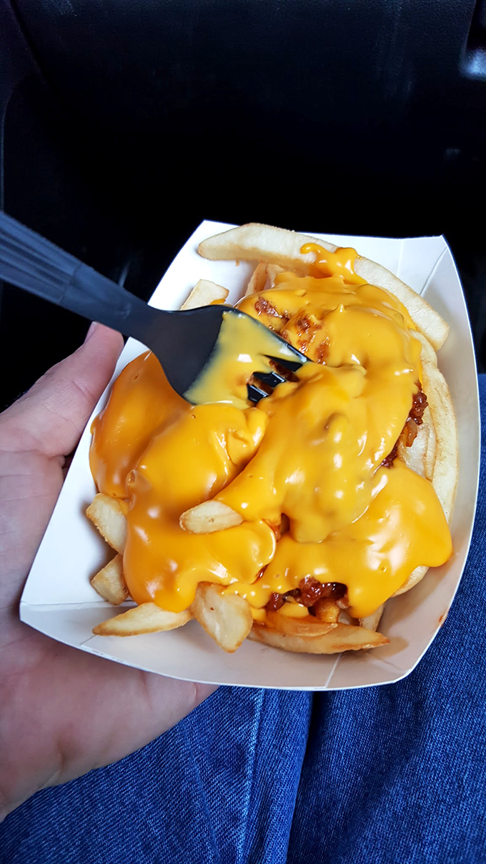 Cheese fries that answer the eternal question: "But what if there was MORE cheese?" Behold the glorious, golden cascade of dairy devotion.
