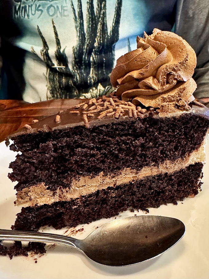 Chocolate cake that doesn't whisper sweetness&mdash;it declares it. That frosting swirl on top isn't decoration; it's the exclamation point on a dessert statement.