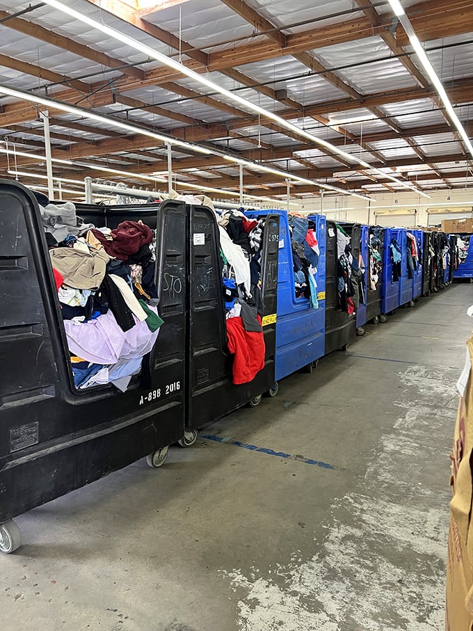 Black bins overflow with textile possibilities, each one a lottery ticket in the game of thrift.