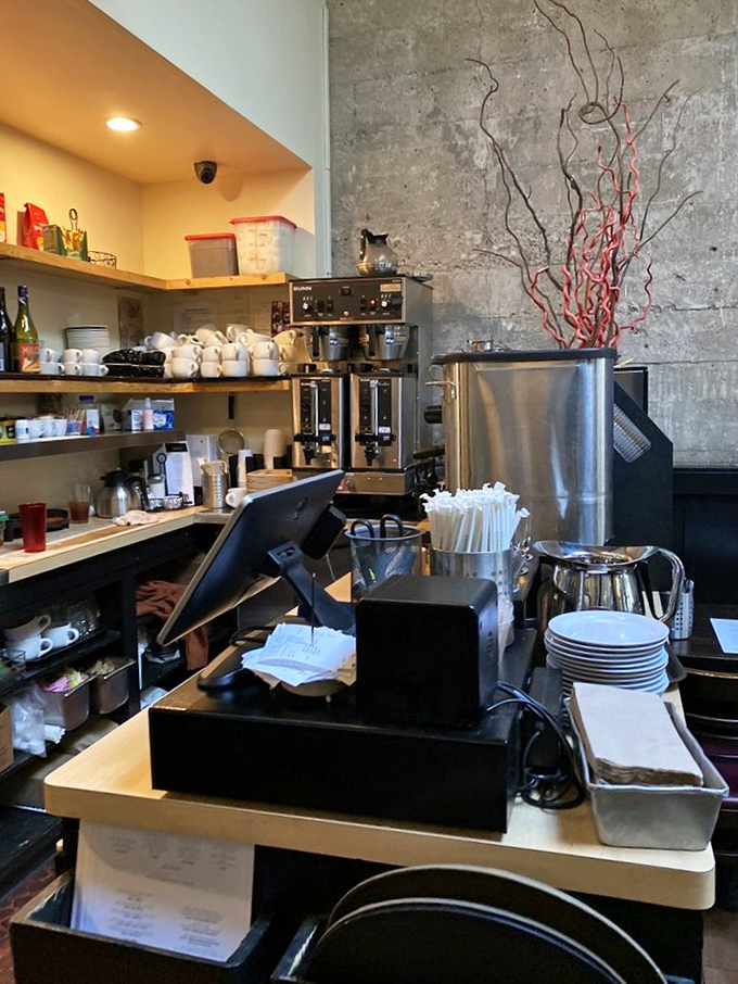 Behind every great restaurant is an organized chaos of coffee machines, plates, and the tools that make culinary magic happen.