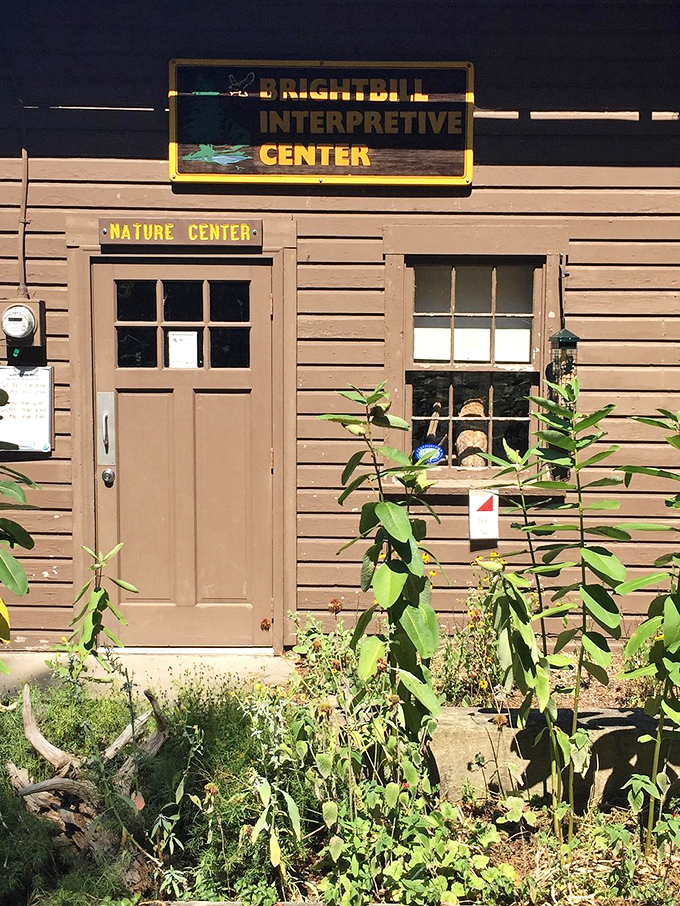 The Brightbill Interpretive Center: where park rangers translate "what was that noise?" into fascinating wildlife facts. 