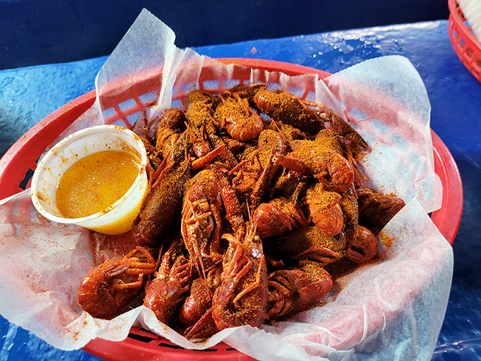 Crawfish dusted with spices, ready to surrender their sweet meat to determined fingers. A delicious treasure hunt that's worth every messy minute.