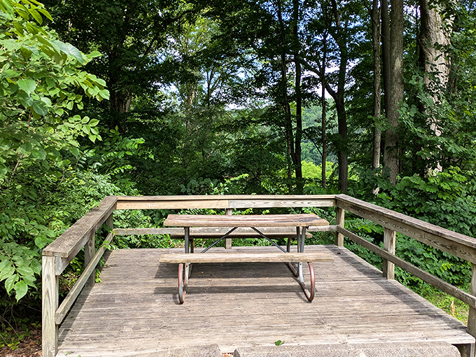 This wooden deck offers front-row seats to nature's greatest show, with no tickets required and unlimited seating for contemplative thoughts.