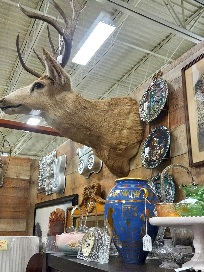 This mounted deer head presides over a collection of elegant glassware and ceramics. Nature meets refinement in this eclectic vendor display.