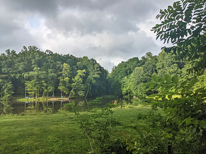 Denison Biological Reserve offers hiking trails where textbooks come alive and nature provides the best classroom imaginable.
