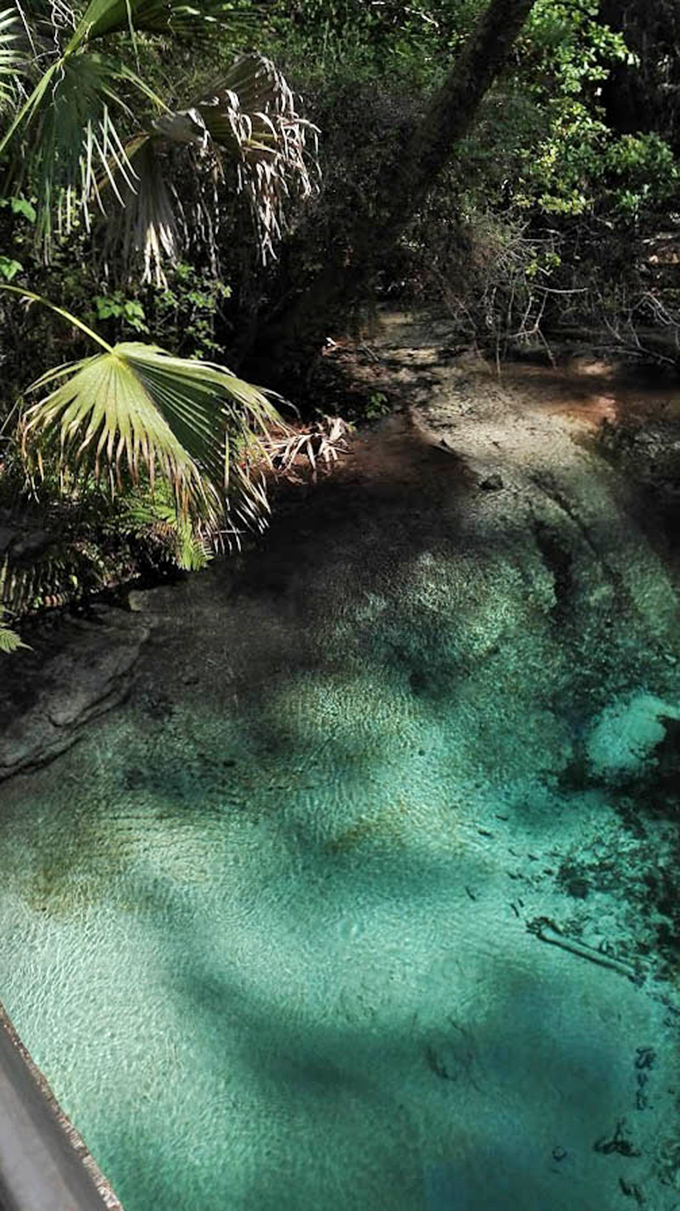 It's not Photoshop, it's just Mother Nature showing off again&mdash;with a little help from the Florida sun.
