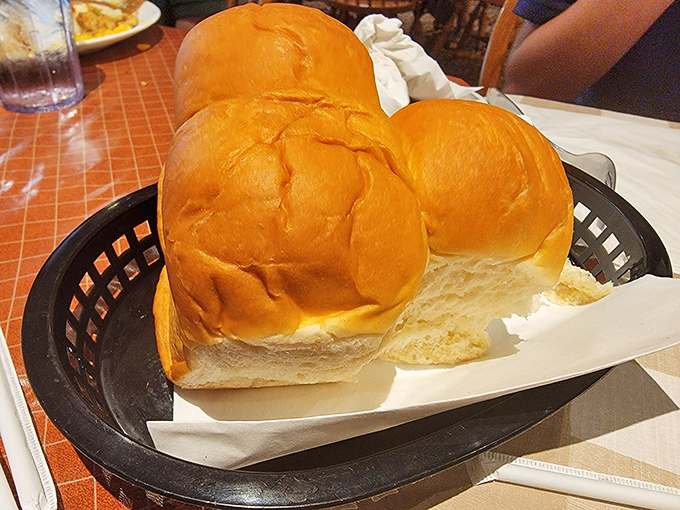 Dinner rolls so fresh they're practically still warm from their oven adventure.