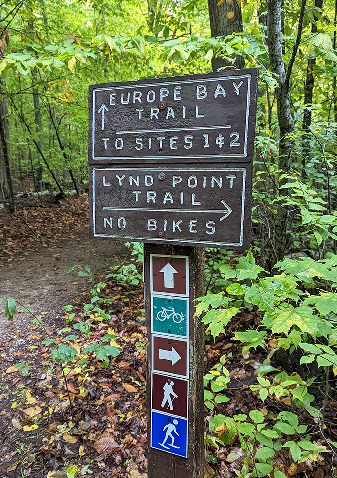 Trail markers: civilization's gentle reminder that even in wilderness, you're not completely on your own&mdash;unless you want to be.