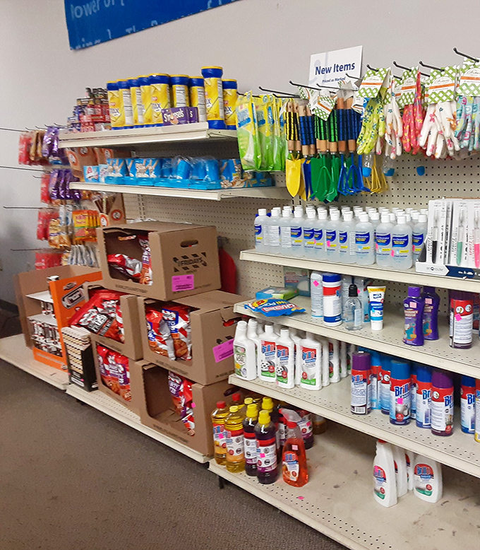 The household essentials aisle: where cleaning supplies and pantry staples get their second chance. Practical shopping with a side of environmental virtue.