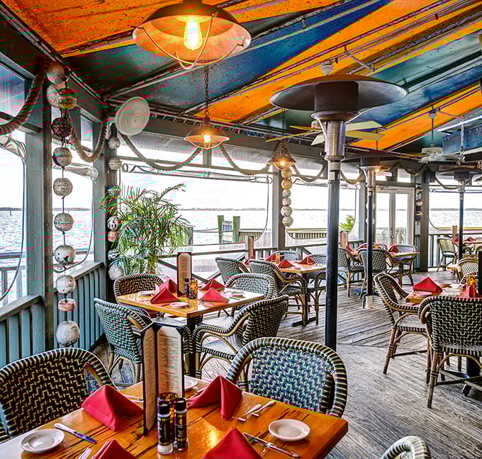 The Dolphin Bar's waterfront dining room doesn't just serve seafood—it practically introduces you to your dinner's former neighbors. Views with food to match.