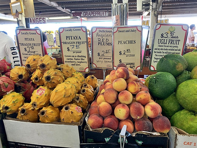 Exotic beauties from distant lands, proving that Florida's climate welcomes the world's finest fruits.