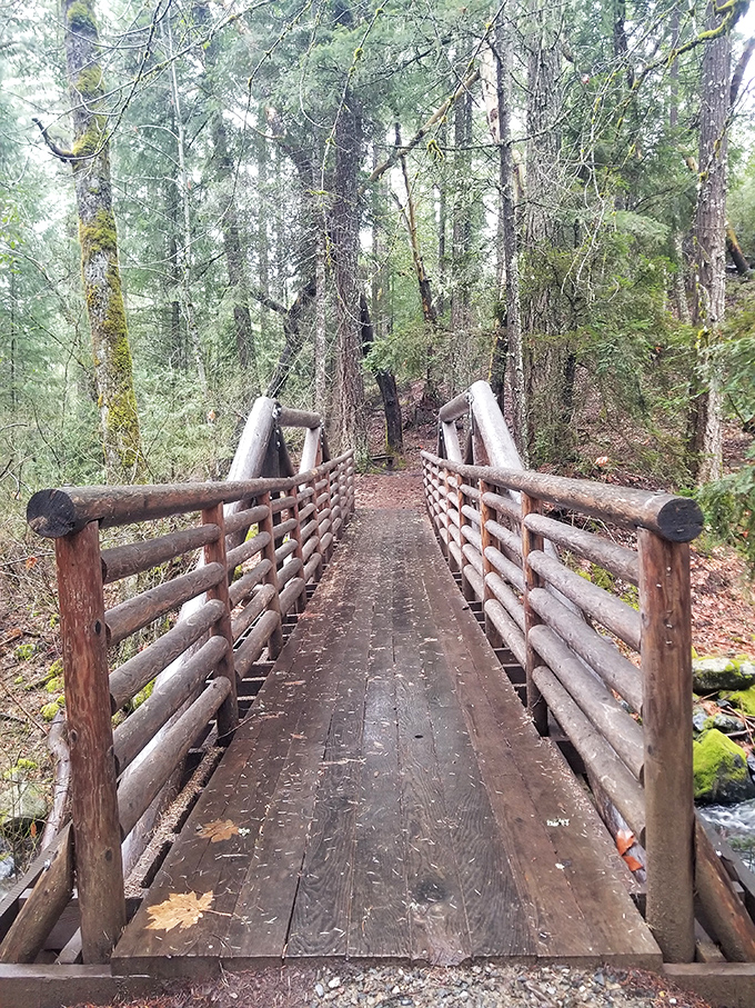 This woodland bridge invites contemplative walks where the only notification you'll receive is from an actual bird, not your phone.