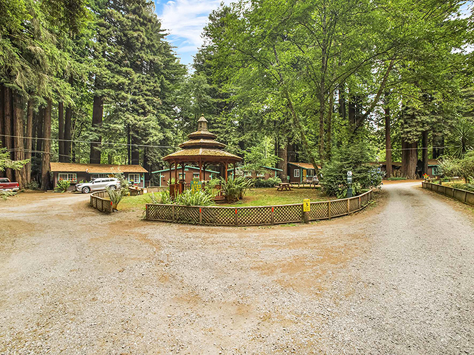 Emerald Forest's towering redwoods create a natural sanctuary just minutes from Trinidad's spectacular ocean views.