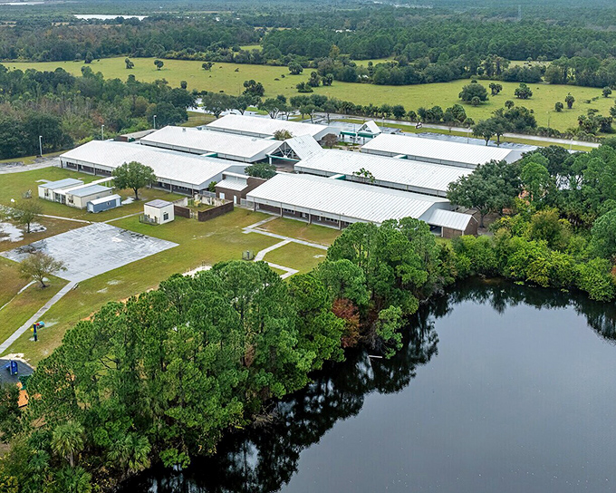 Local schools anchor the community, proving Titusville isn't just for retirees &ndash; families flourish here too.