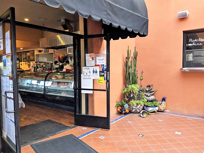 The entrance beckons with promises of carbohydrate bliss, flanked by cheerful potted succulents that have witnessed countless happy customers.