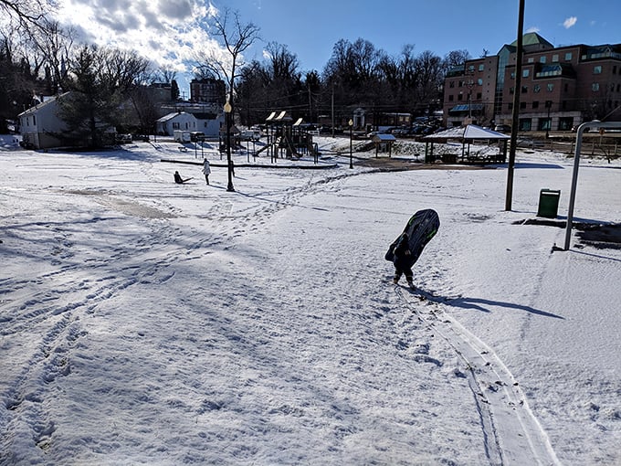 Winter transforms Eva Walker Park into a wonderland where footprints tell stories of play that no screen time can replicate.