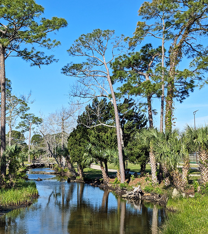 Ferry Park's tranquil stream reflects both towering pines and your wise financial decision to discover Fort Walton Beach.