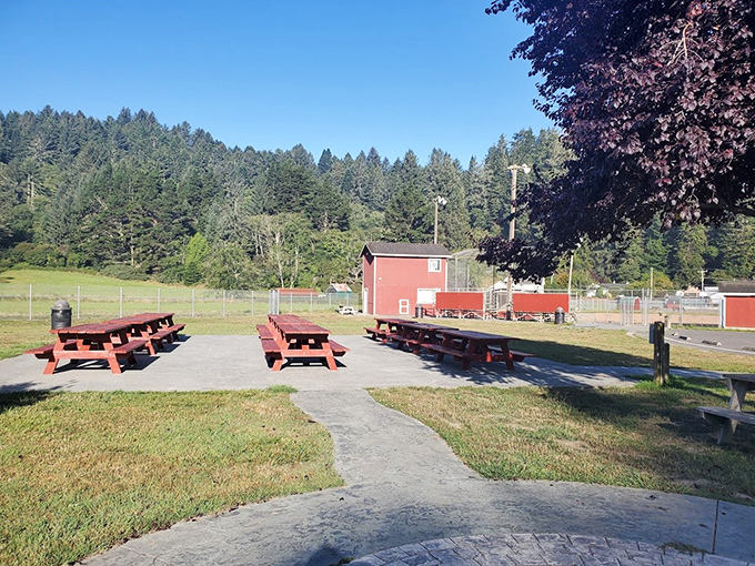 Picnic tables nestled against a backdrop of towering redwoods offer a peaceful spot to enjoy lunch while contemplating small-town tranquility.