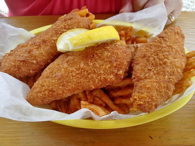 Fish and chips with a golden crust that shatters at first bite. That lemon wedge isn't just garnish&mdash;it's the perfect finishing touch.