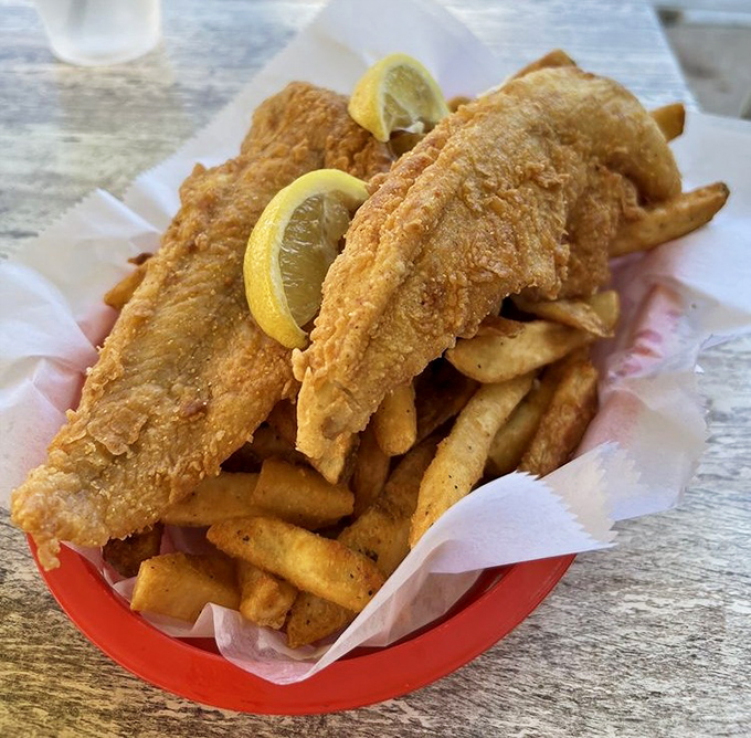 Golden-fried fish that breaks apart with the gentlest pressure, paired with fries that understand their supporting role in this seafood symphony.