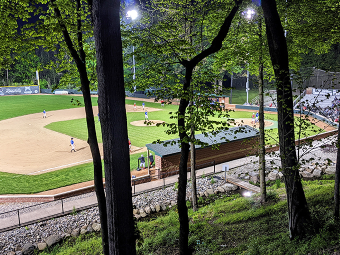 Baseball under the lights at Forest Glen Park captures pure Americana, where cheers echo through trees and hot dogs taste inexplicably better.
