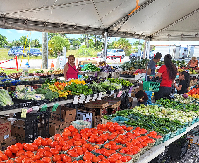 Farm-fresh produce that makes grocery store vegetables look like sad, distant relatives. Those tomatoes haven't known refrigeration&mdash;only sunshine and careful hands.