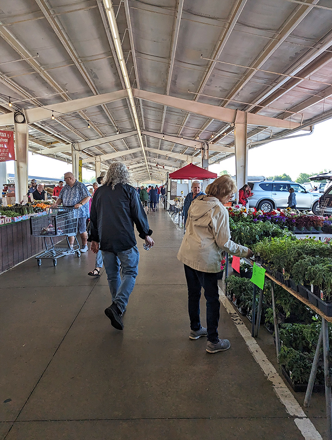 Garden treasures await green thumbs and aspiring plant parents alike. Nothing says "hope" quite like a cart full of seedlings in springtime.