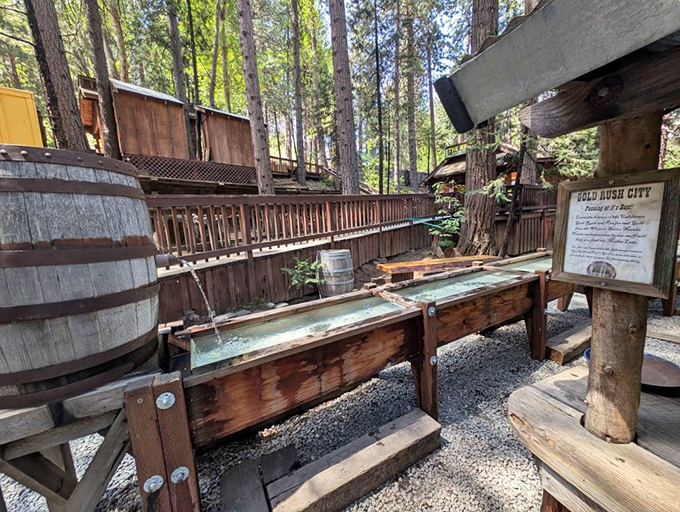 Gold fever dreams! This authentic sluice box invites modern-day prospectors to experience the thrill of the hunt without selling the family farm. 